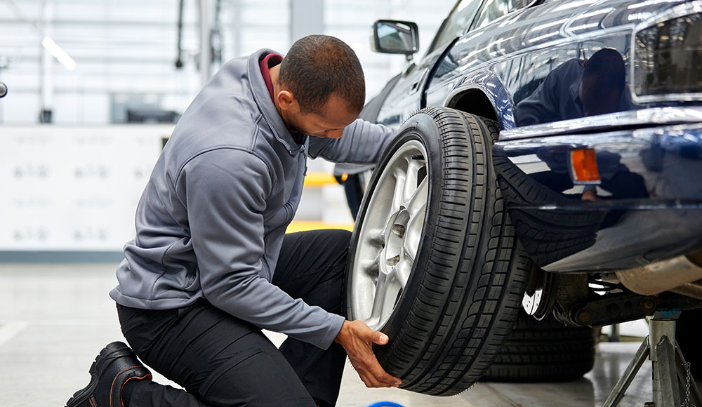 Case Study - Automotive OEM | AtData